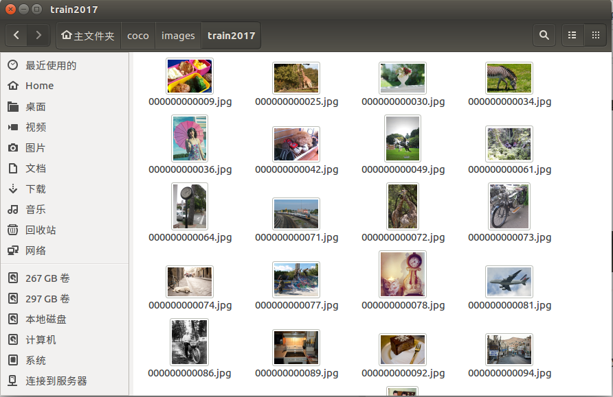 COCO2017数据集结构说明（时常更新）_train2017-CSDN博客