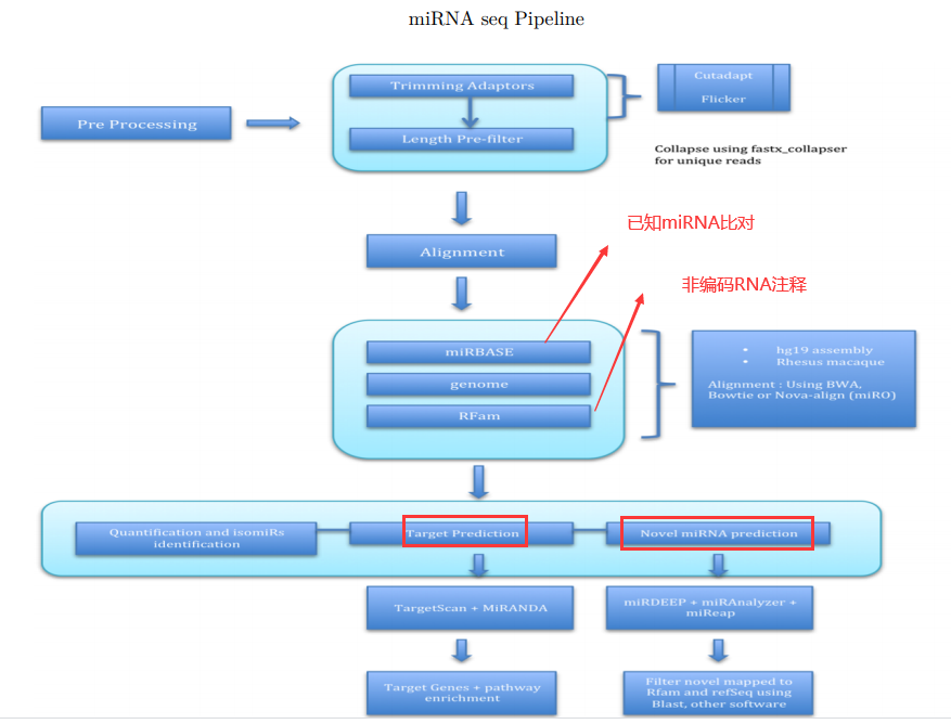 Omics精进07|转录组之mRNA|miRNA|lncRNA|circRNA测序简介_pythonic生物人的博客-CSDN博客