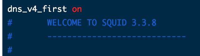 linux安装squid正向代理服务器_ubuntu squid正向代理-CSDN博客