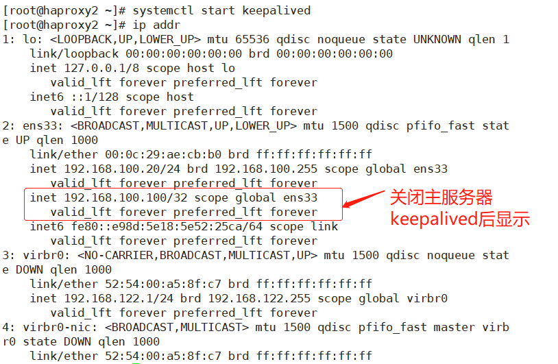 Haproxy+keepalived(高可用集群部署)_haproxy keepalived-CSDN博客