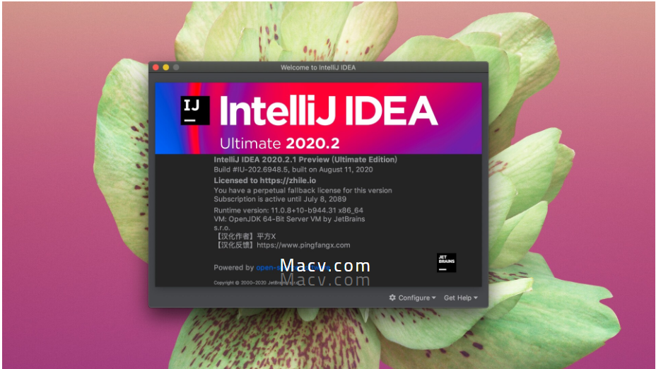 JetBrains软件怎么设置中文？值得一看！_jetbrains dotpeek怎么改中文-CSDN博客