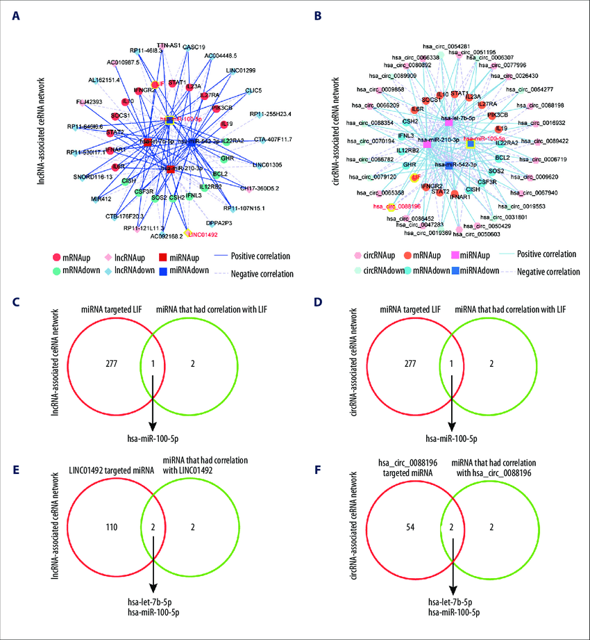 Omics精进07|转录组之mRNA|miRNA|lncRNA|circRNA测序简介_pythonic生物人的博客-CSDN博客