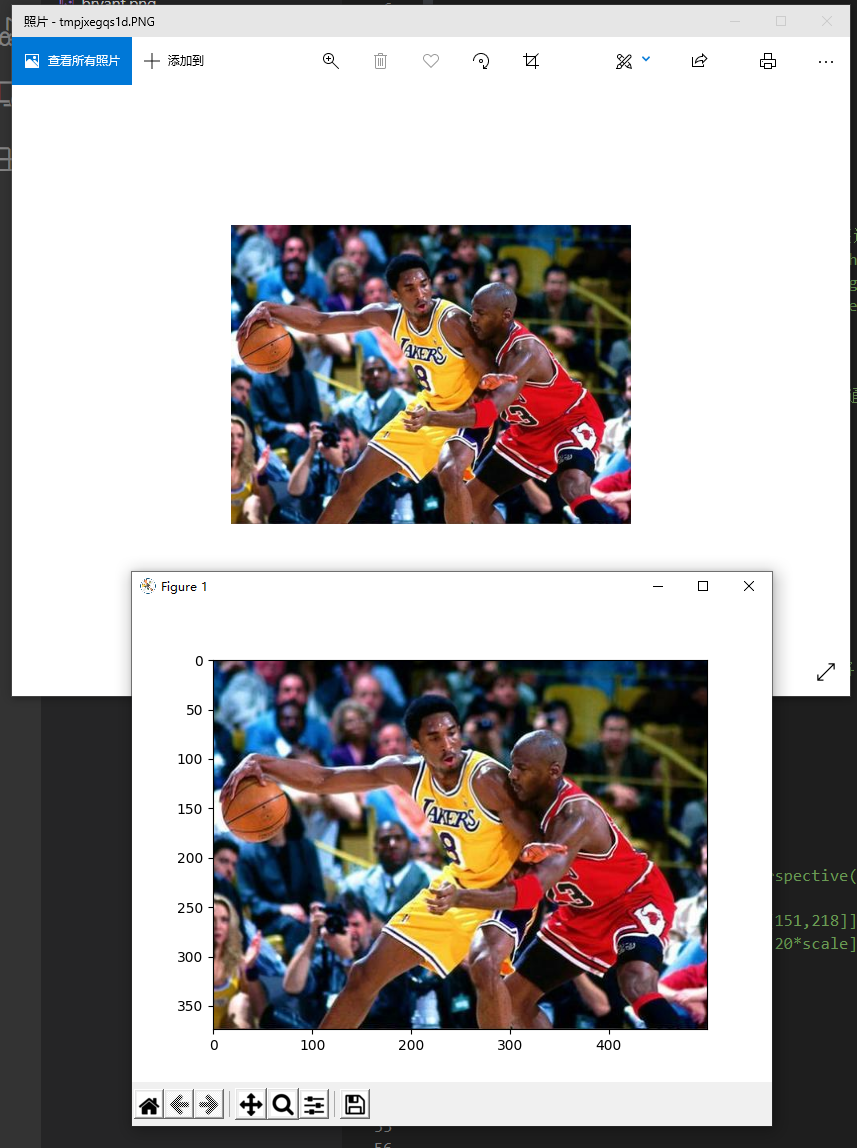torchvision.transforms的使用_torchvision.transforms.functional.perspective-CSDN博客