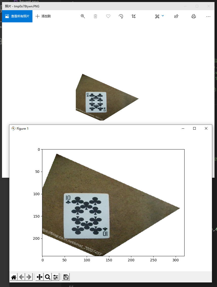 torchvision.transforms的使用_torchvision.transforms.functional.perspective-CSDN博客
