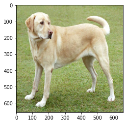 深度学习课程--CNN--feature maps的visualization-CSDN博客