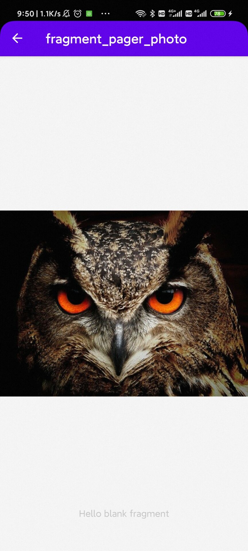 【Android-Kotlin-Volley】图片画廊学习笔记_android gallery kotlin-CSDN博客