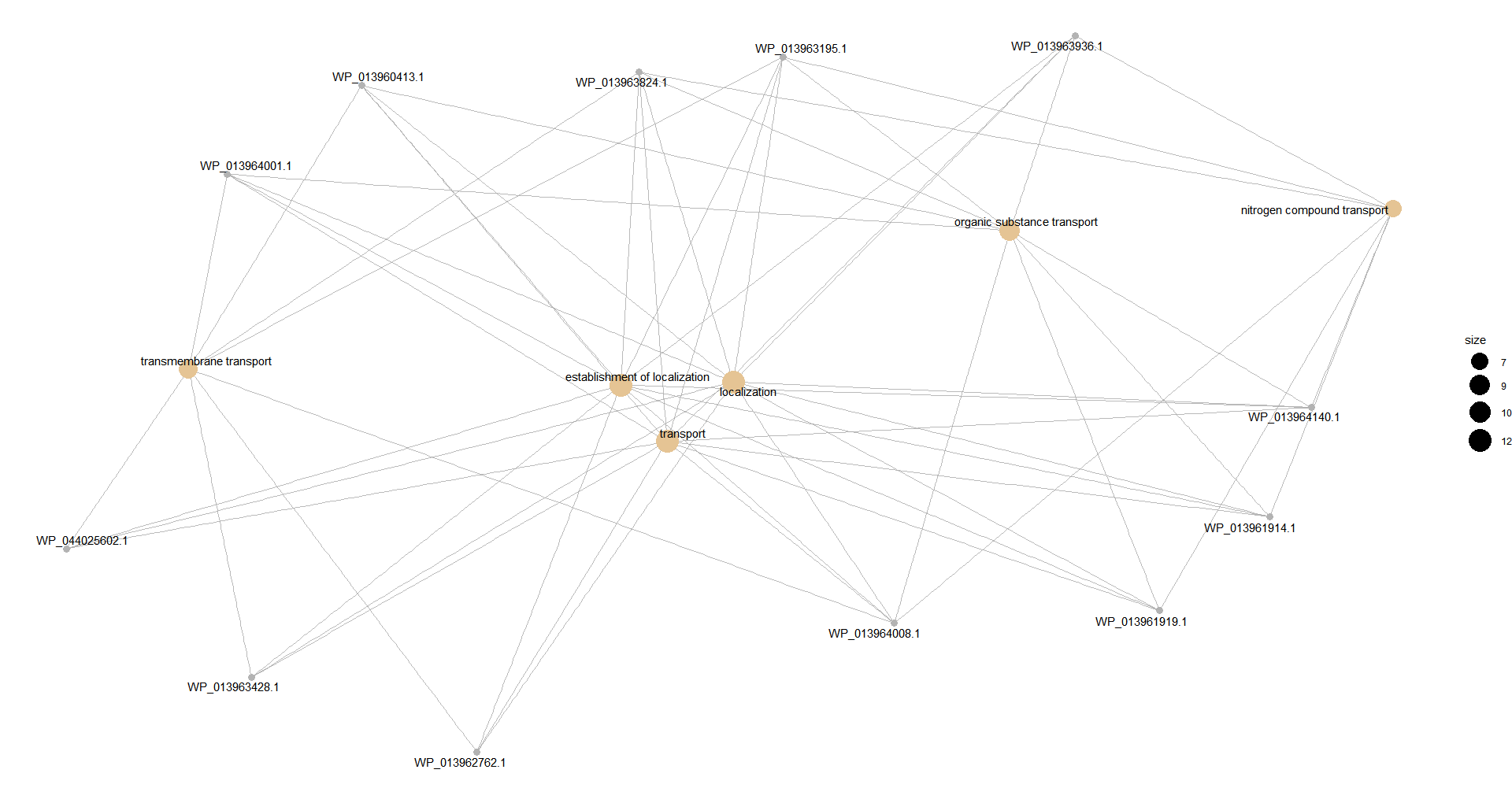 从eggNOG进行GO注释到使用clusterProfiler富集分析_comparecluster-CSDN博客