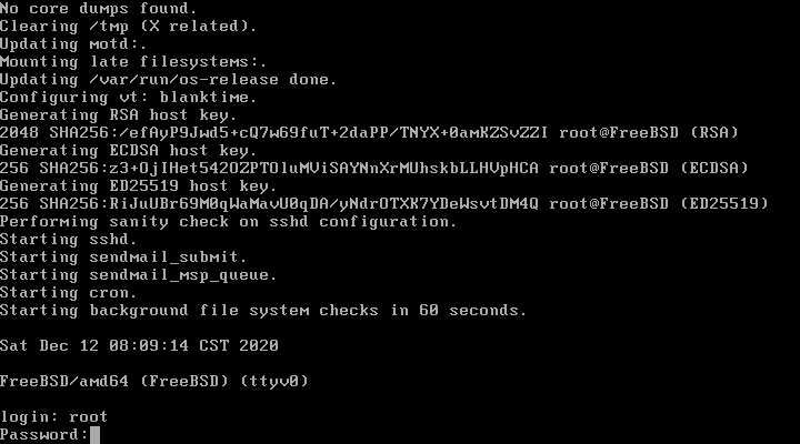 【FreeBSD】VMware 安装 FreeBSD_vm安装freebsd-CSDN博客