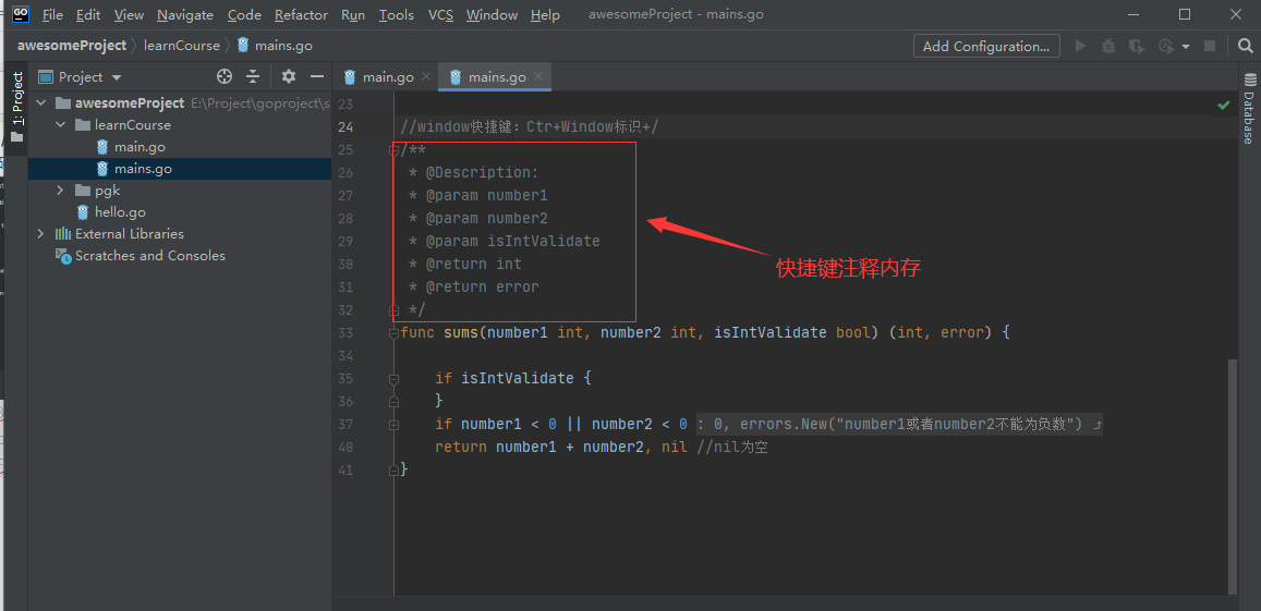 Golang效率工具（一）Goland工具注释用法_goland自动生成注释-CSDN博客