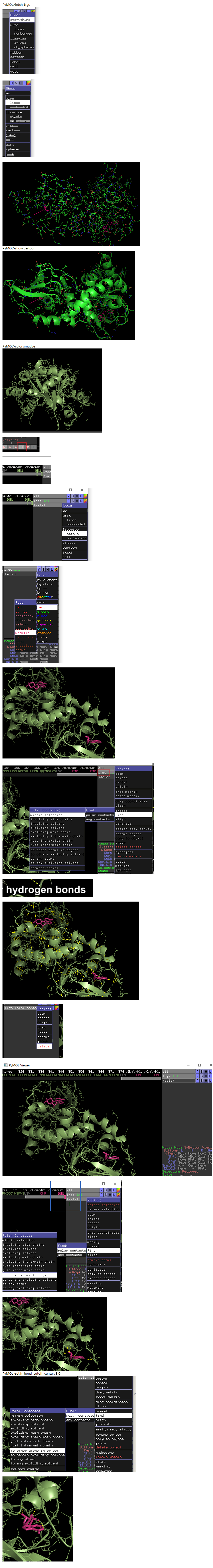 pymol第四课(hydrogen bonds)_pymol 分离多聚体蛋白-CSDN博客