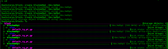 模拟生产环境部署达梦dsc（raid+targetcli+multipath+nfs）_targetcli multipath-CSDN博客