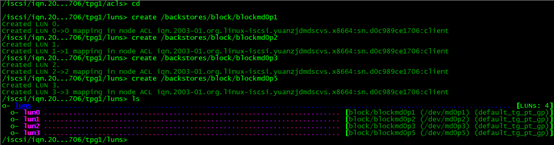 模拟生产环境部署达梦dsc（raid+targetcli+multipath+nfs）_targetcli multipath-CSDN博客