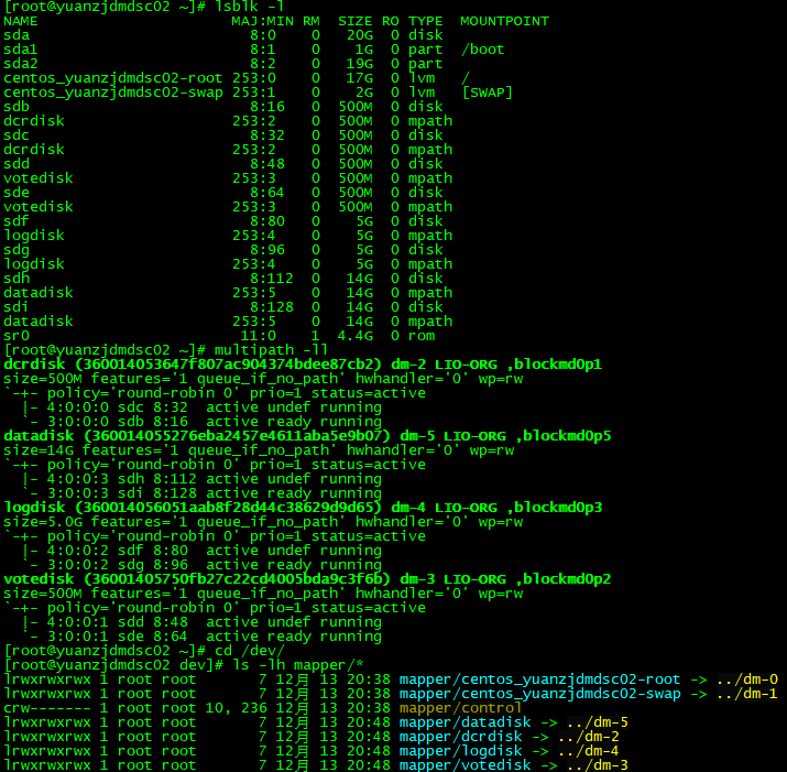 模拟生产环境部署达梦dsc（raid+targetcli+multipath+nfs）_targetcli multipath-CSDN博客