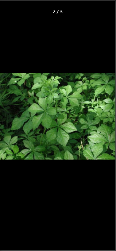 微信小程序：常用功能6——点击图片，实现图片的预览功能wx.previewImage(Object object, boolean showmenu)-CSDN博客