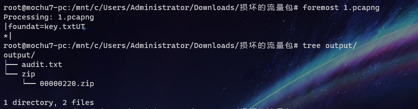 BMZCTF：2020sdnisc-损坏的流量包_ctf 流量包损坏_末 初的博客-CSDN博客