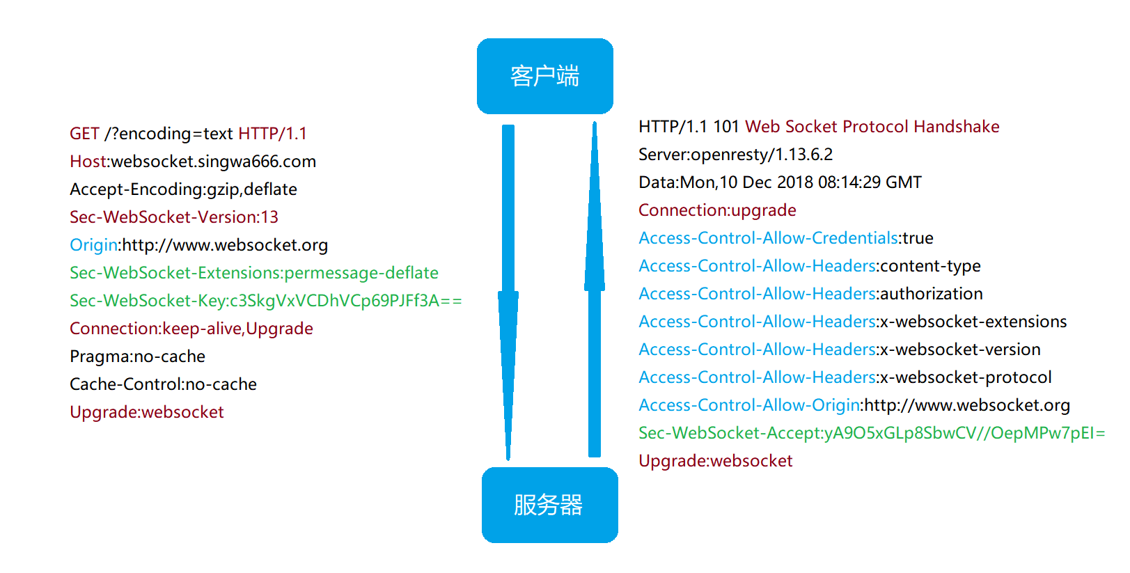 WebSocket 协议原理（抓包分析）-CSDN博客
