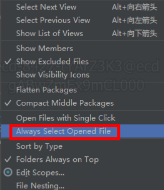 2020版idea快速定位到类等文件图标消失，scroll from source按钮消失不见，如何找回？_idea定位文件的按钮不见了-CSDN博客