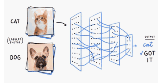 神经网络RNN,CNN,DNN-MLP,LSTM 详解_lstm-dnn-CSDN博客