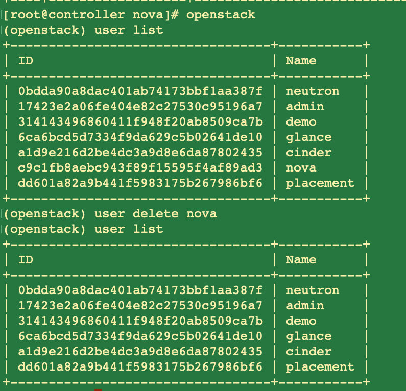 openstack创建实例报Build of instance d401db9e-xxxx-97c5d7685592 aborted: Unknown auth type: None ...