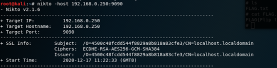 CTF-综合靶场——RickdiculouslyEasy_rickdiculously easy-CSDN博客