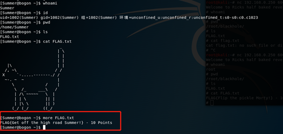 CTF-综合靶场——RickdiculouslyEasy_rickdiculously easy-CSDN博客