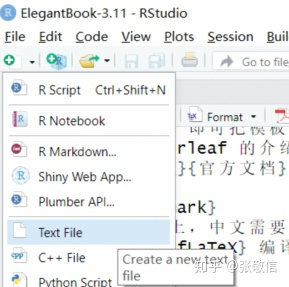 精简版LaTeX——TinyTeX的2020年12月从“零”开始的最全安装步骤（R语言+RStudio编译器+RMarkdown、TinyTeX库）-CSDN博客