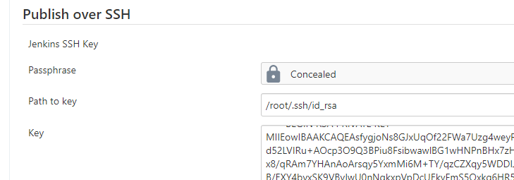 docker安装Jenkins、jenkins插件、映射JDK和maven和RSA、publish over ssh发布_docker jenkins publish over ssh-CSDN博客