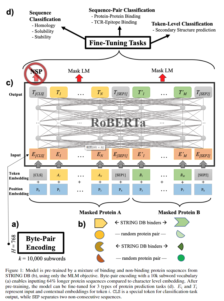 阅读笔记--Protein PreTrain_pre-training protein language models with label ...