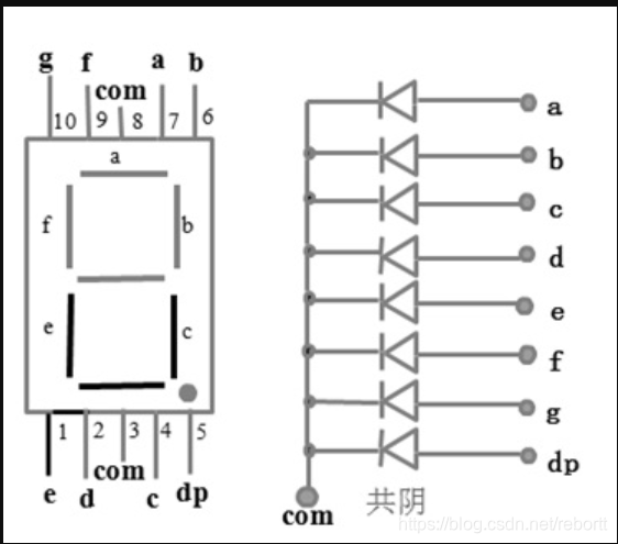 七段数码管的使用(使能端分时控制)七段数码管中间两点显示 Csdn博客