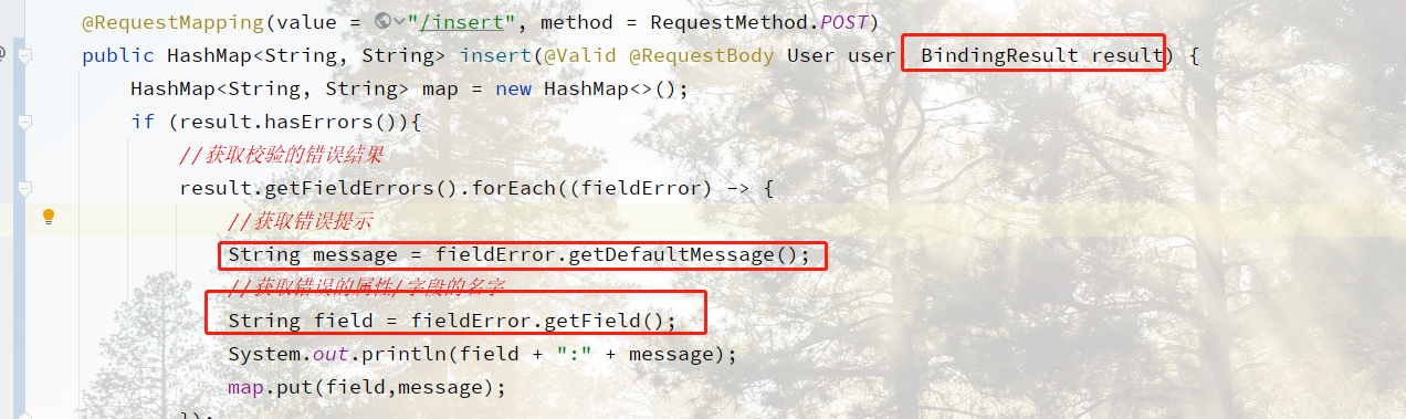 Java数据校验：JSR-303_jsr303规范-CSDN博客