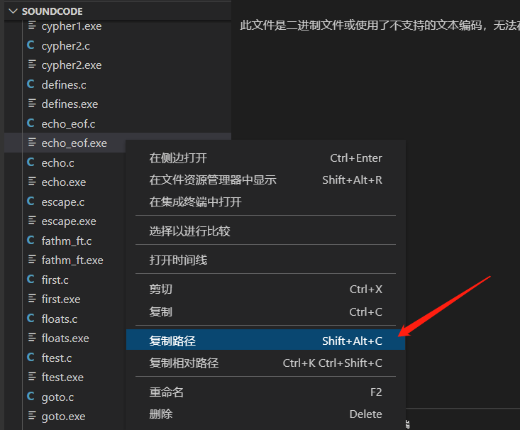 C语言重定向 Csdn博客 
