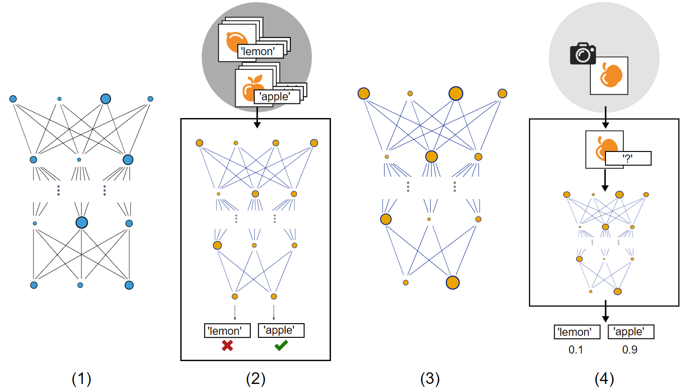 HALCON 20.11：深度学习笔记(4)--- 网络和训练过程_halcon获取训练集的方法-CSDN博客