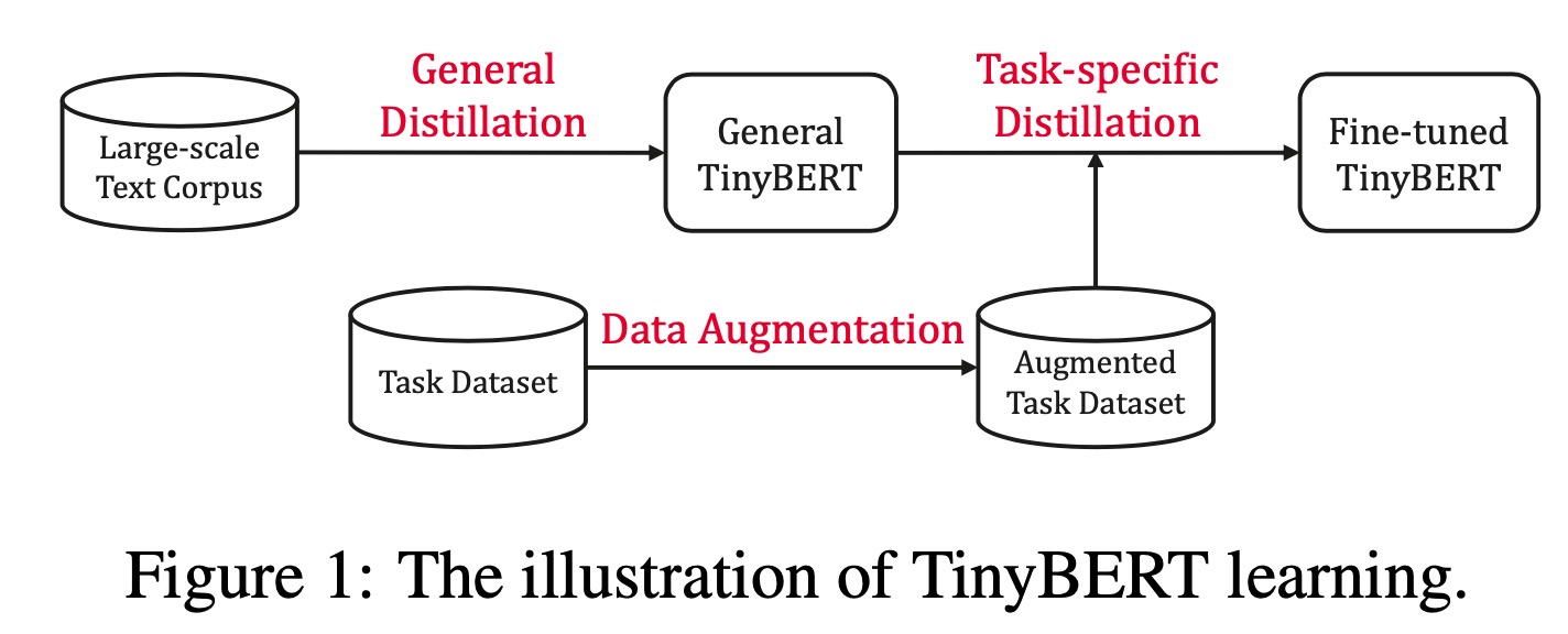 TinyBert解读_bert-tiny参数量-CSDN博客
