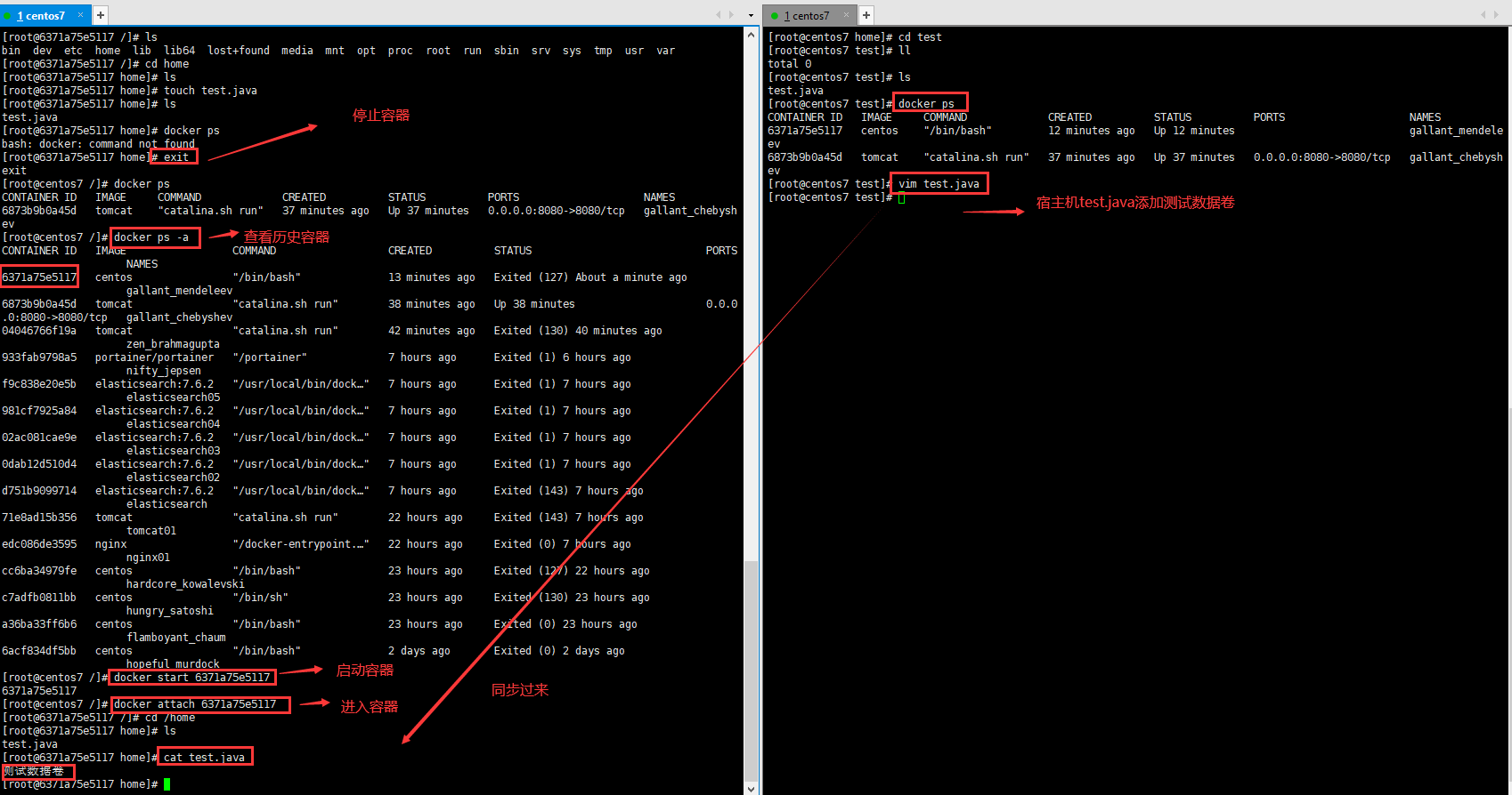 一文搞懂Docker_btnull.in-CSDN博客