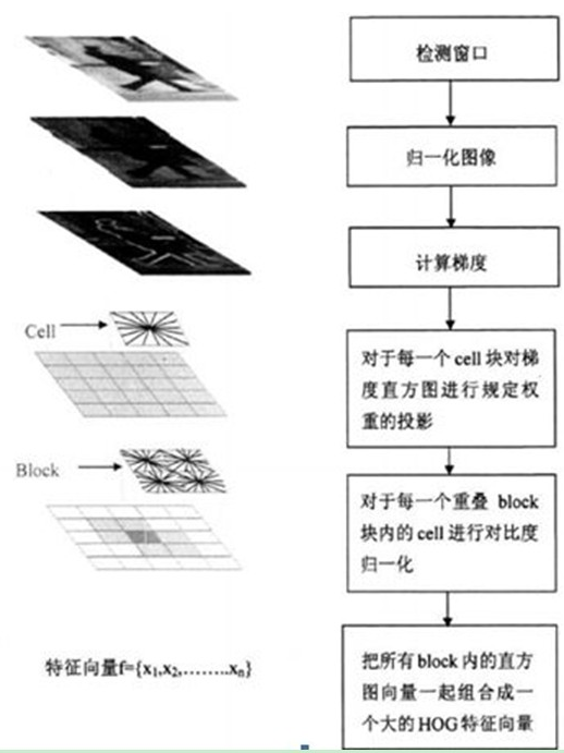 方向梯度直方图（Histogram of Oriented Gradient, HOG）特征_梯度方向直方图特征-CSDN博客