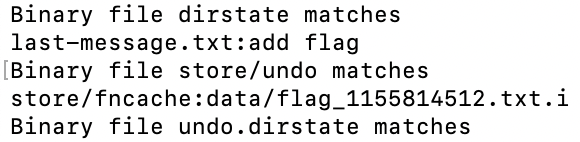 CTFHub技能树 Web-信息泄露 HG泄露_信息泄露 - mercurial-CSDN博客