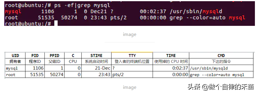 Linux下面监控GPU状态与查看文件夹大小_监控显卡的flops-CSDN博客