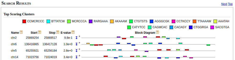 MEME 使用简介_meme数据库-CSDN博客
