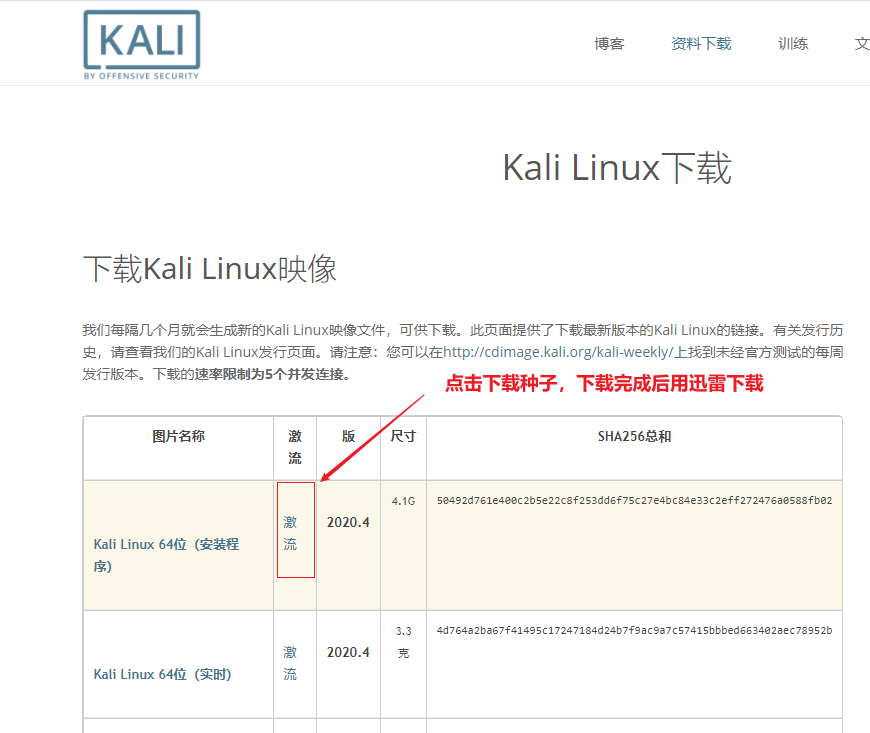 安装kail Linux_kali at the moment only the core-CSDN博客