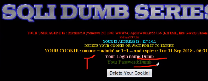 sqli-labs靶场实现（八）【cookie注入+cookie base64编码注入】（less-20、less-22、具体步骤+图文详解）-CSDN博客