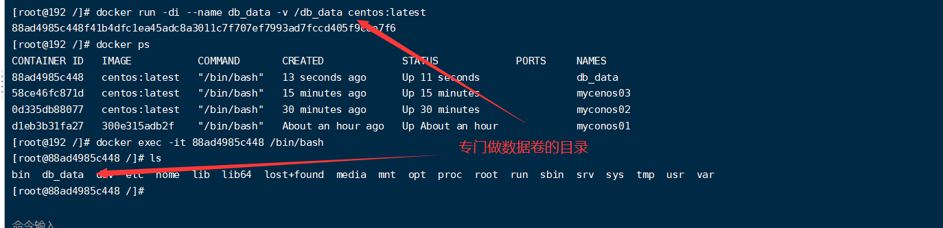 Docker数据卷实现数据共享_docker共享数据卷-CSDN博客