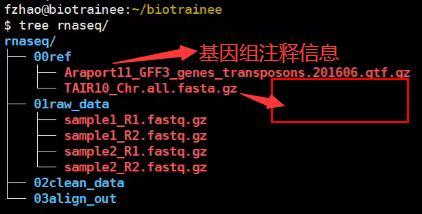01-rna-seq从头开始 卖萌哥 Linux生信技能树Linux安装软件 Linux实战RNASEQ上游_biotrainee.vip-CSDN博客