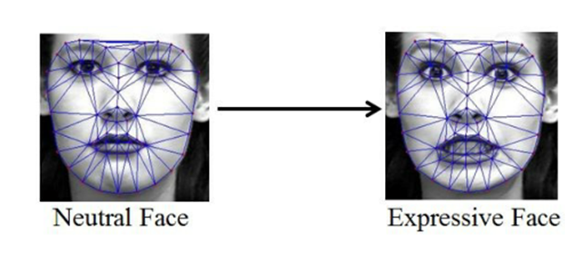 《Facial Expression Recognition in Video with Multiple Feature Fusion》论文 ...