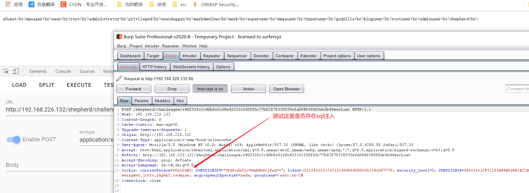 OWASP Security Shepherd_owasp security shepherd lessons 题目-CSDN博客