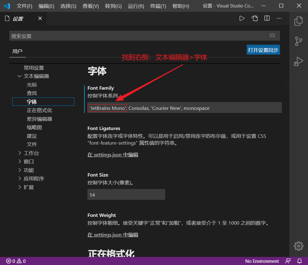 How to install JetBrains mono font in Windows - Programmer Sought