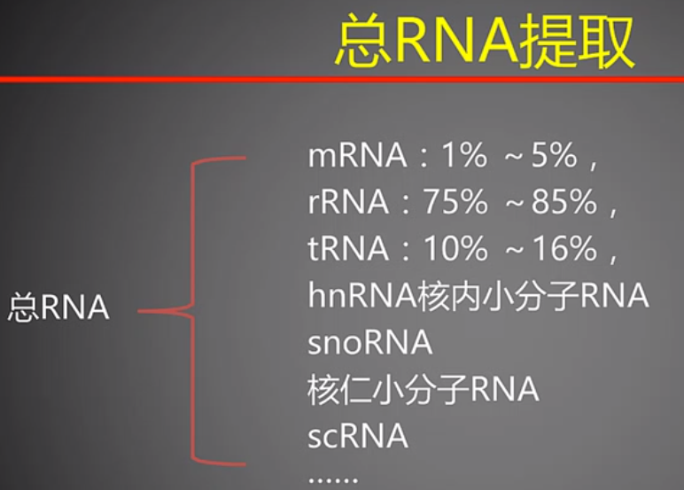 RNA_seq生物分析学习--RNA-seq实验_rnaseq样本要求-CSDN博客