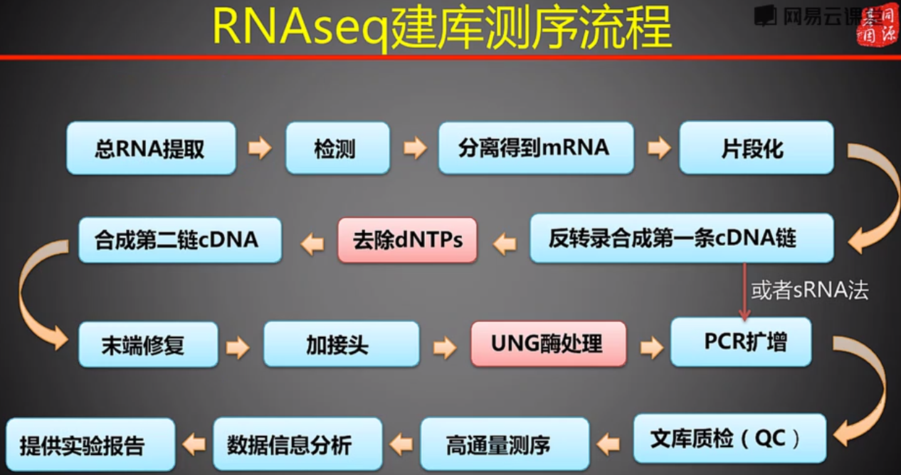 RNA_seq生物分析学习--RNA-seq实验_rnaseq样本要求-CSDN博客