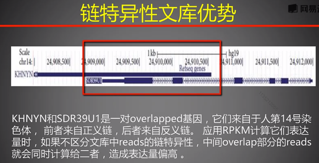RNA_seq生物分析学习--RNA-seq实验_rnaseq样本要求-CSDN博客