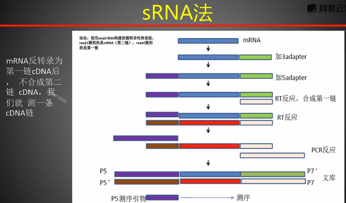 RNA_seq生物分析学习--RNA-seq实验_rnaseq样本要求-CSDN博客