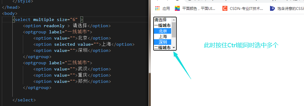 input表单各种框/按钮和下拉框_input下拉框-CSDN博客